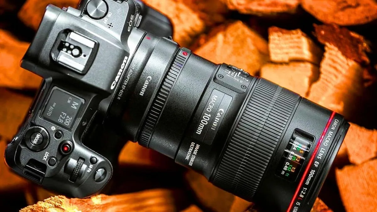 5 Best-rated DSLR and Mirrorless Cameras on Amazon from Sony, Nikon ...