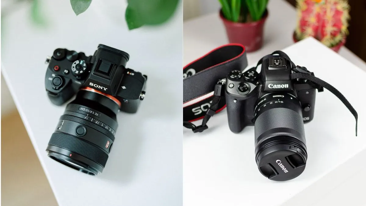 5 Best Entry-Level DSLR Cameras With Beginner Friendly Features