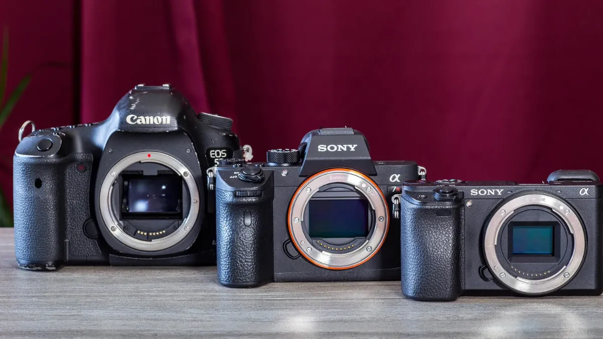 Sony Vs Canon: Which Mirrorless Camera Brand Gives Professional-Looking ...