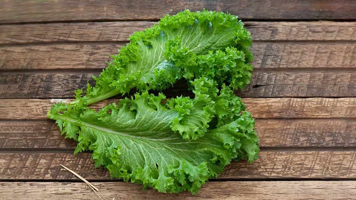 Nutritional Facts And Health Benefits Of Mustard Leaves You Must Know ...