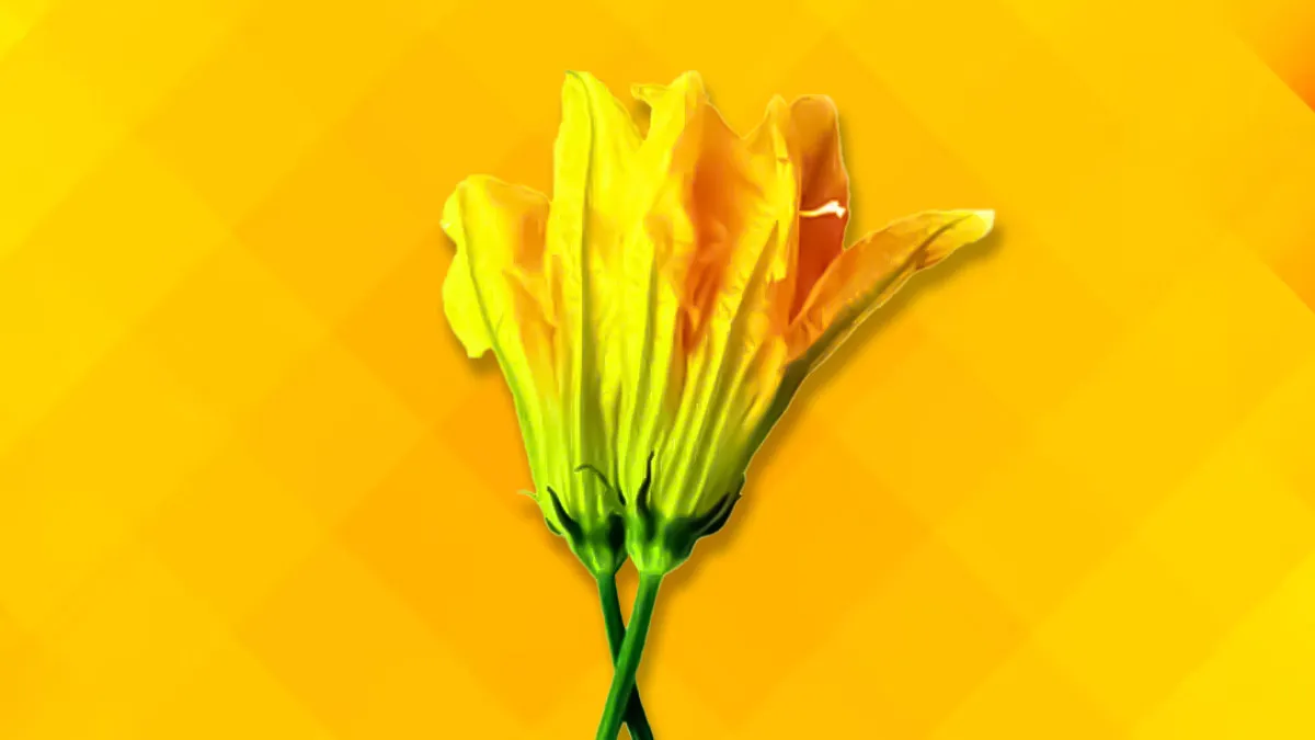 How To Make Bengal’s Famous Snack: Kumro Fuler Bora Or Pumpkin Flower ...