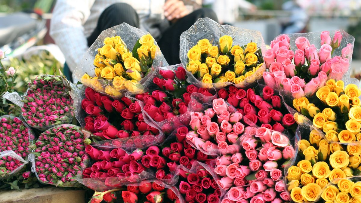 Top 7 Flower Markets In Delhi You Must Visit In 2024 | HerZindagi