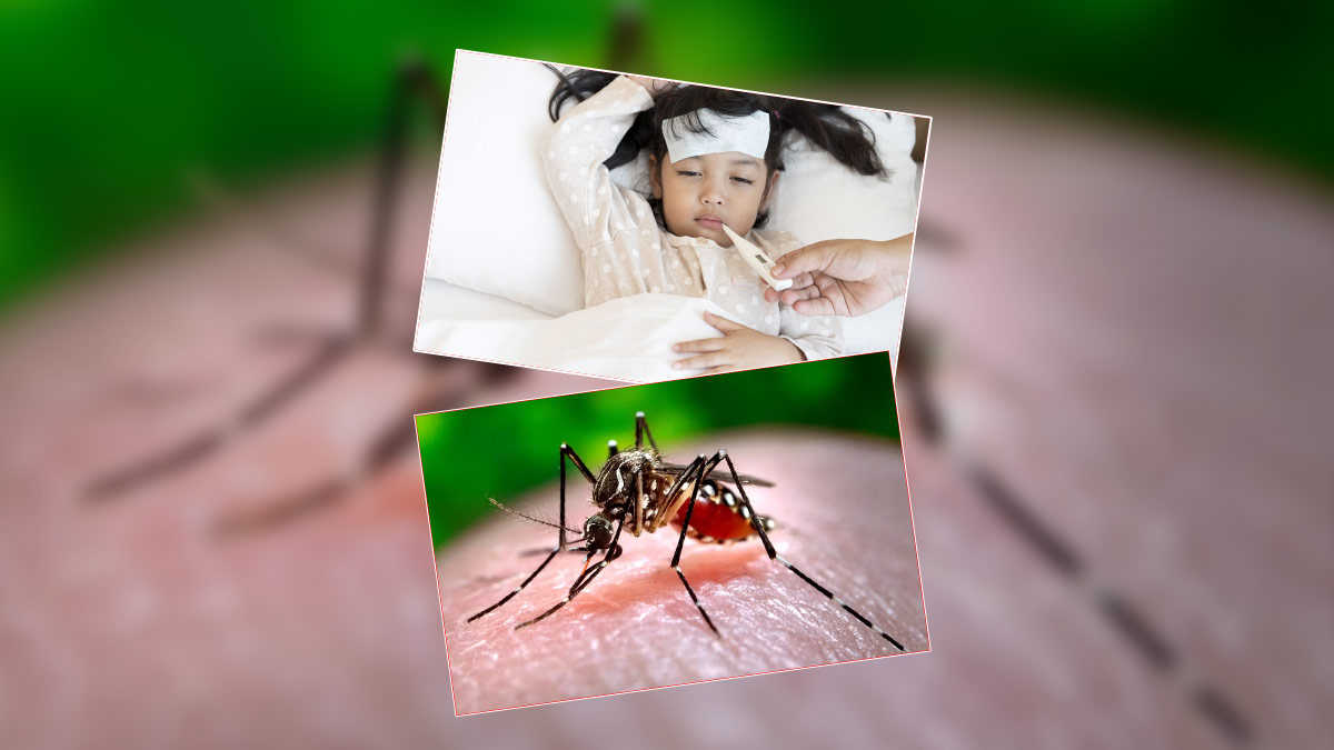 Dengue Fever: 9 Warning Signs, Causes, And Treatment | HerZindagi