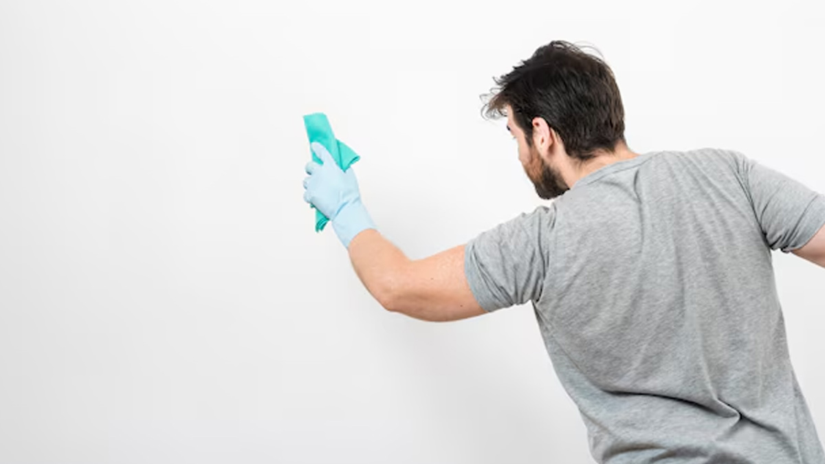 5 Quick and Easy Ways to Clean Dust Off Your Walls | HerZindagi
