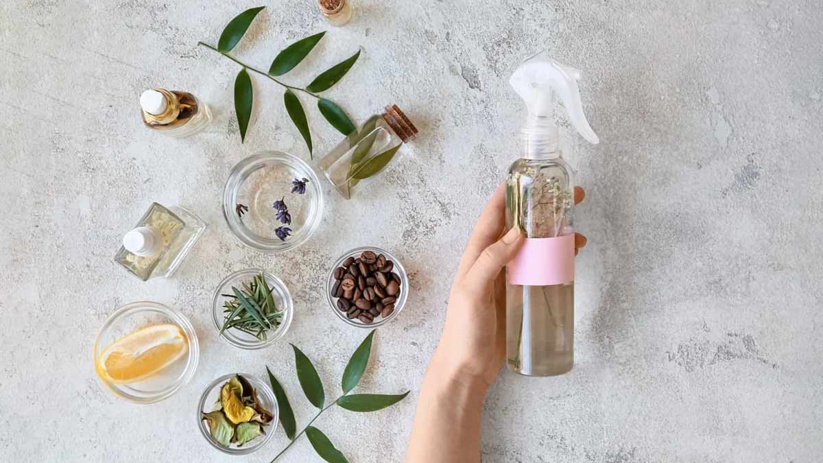Happy Valentine’s Day 2025: 6 Steps To Make Perfume Using Natural ...