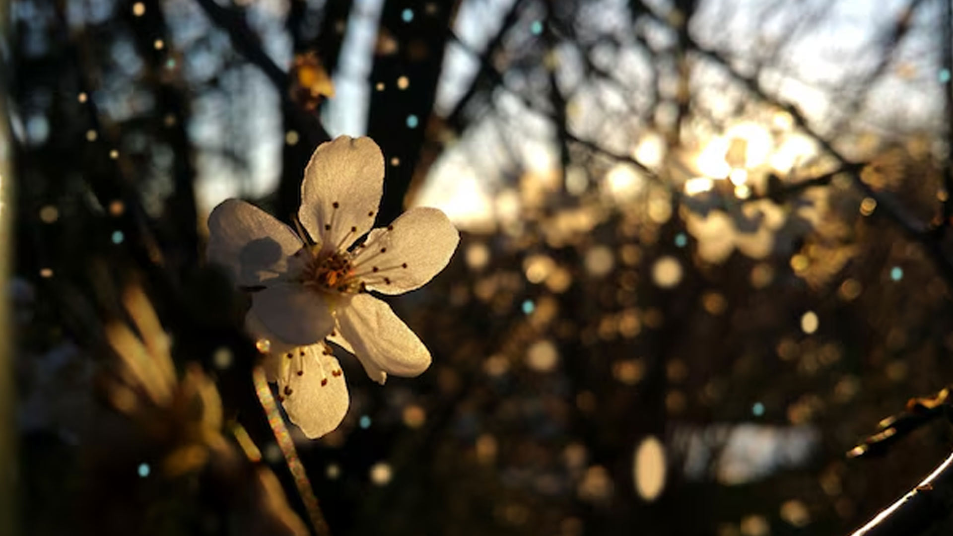 Spring Equinox 2025: When Is It And What Happens On This Day? | Herzindagi