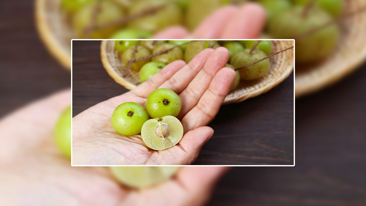Amla (Indian Gooseberry): 3 Benefits, Nutritional Value, And Side ...