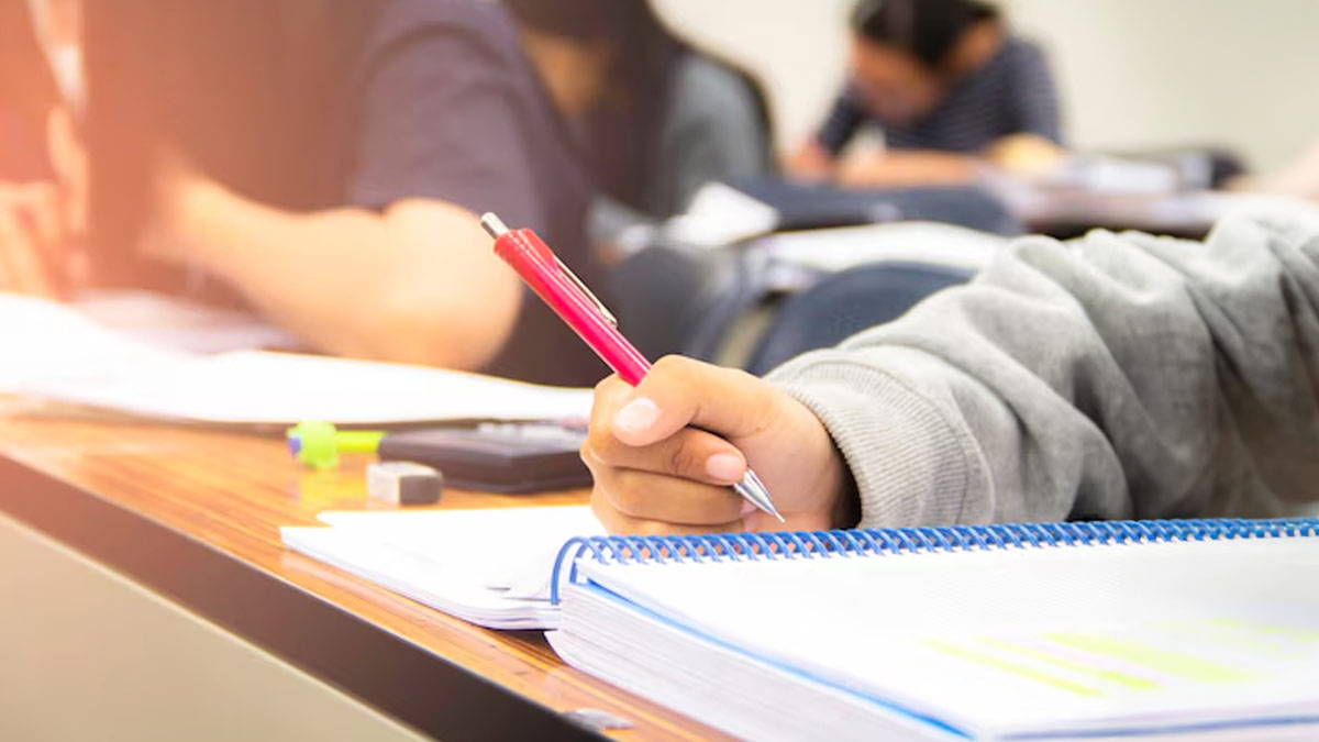 IBPS Clerk Mains Result 2025 Declared: Step-by-Step Guide To Check Your ...