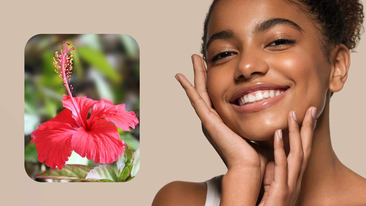 3 Unique Benefits Of Hibiscus Flower For Skin | HerZindagi