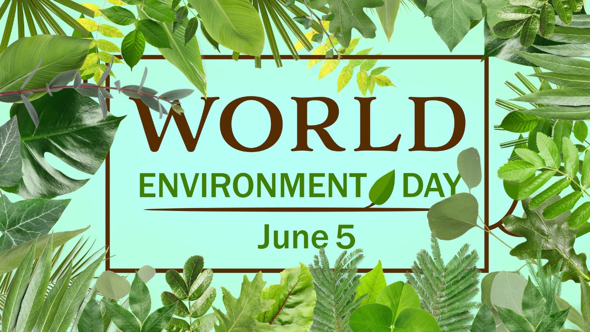 World Environment Day 2025: 30+ Slogans To Share On A Day To Save The ...