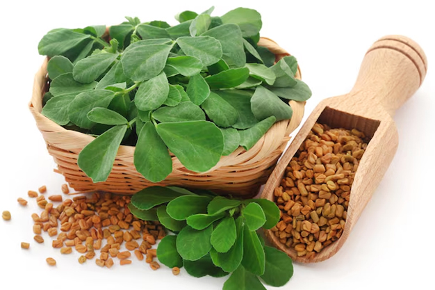 Kitchen Hacks : 5 Tips To Store Fresh Fenugreek (Methi) Leaves For 7 ...