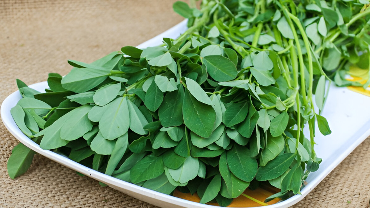 Kitchen Hacks : 5 Tips To Store Fresh Fenugreek (Methi) Leaves For 7 ...