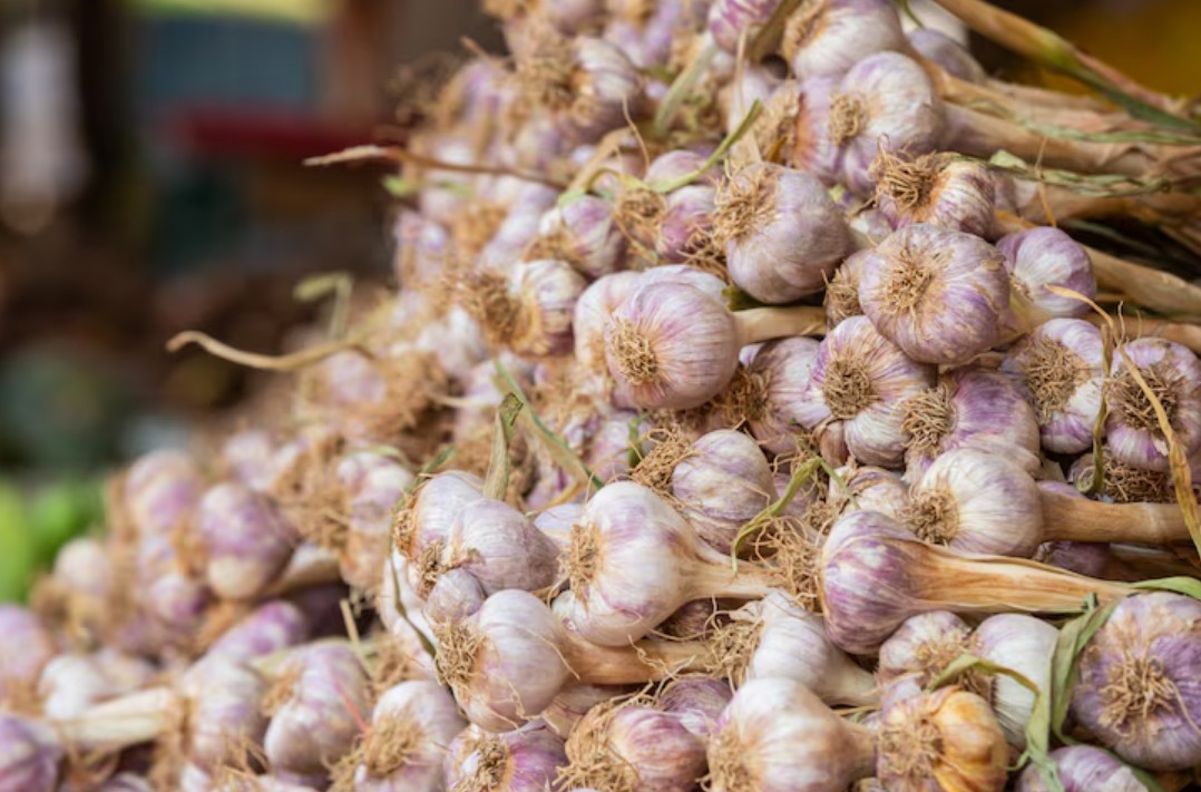 7 Plants That Don't Need Seeds To Grow | Herzindagi