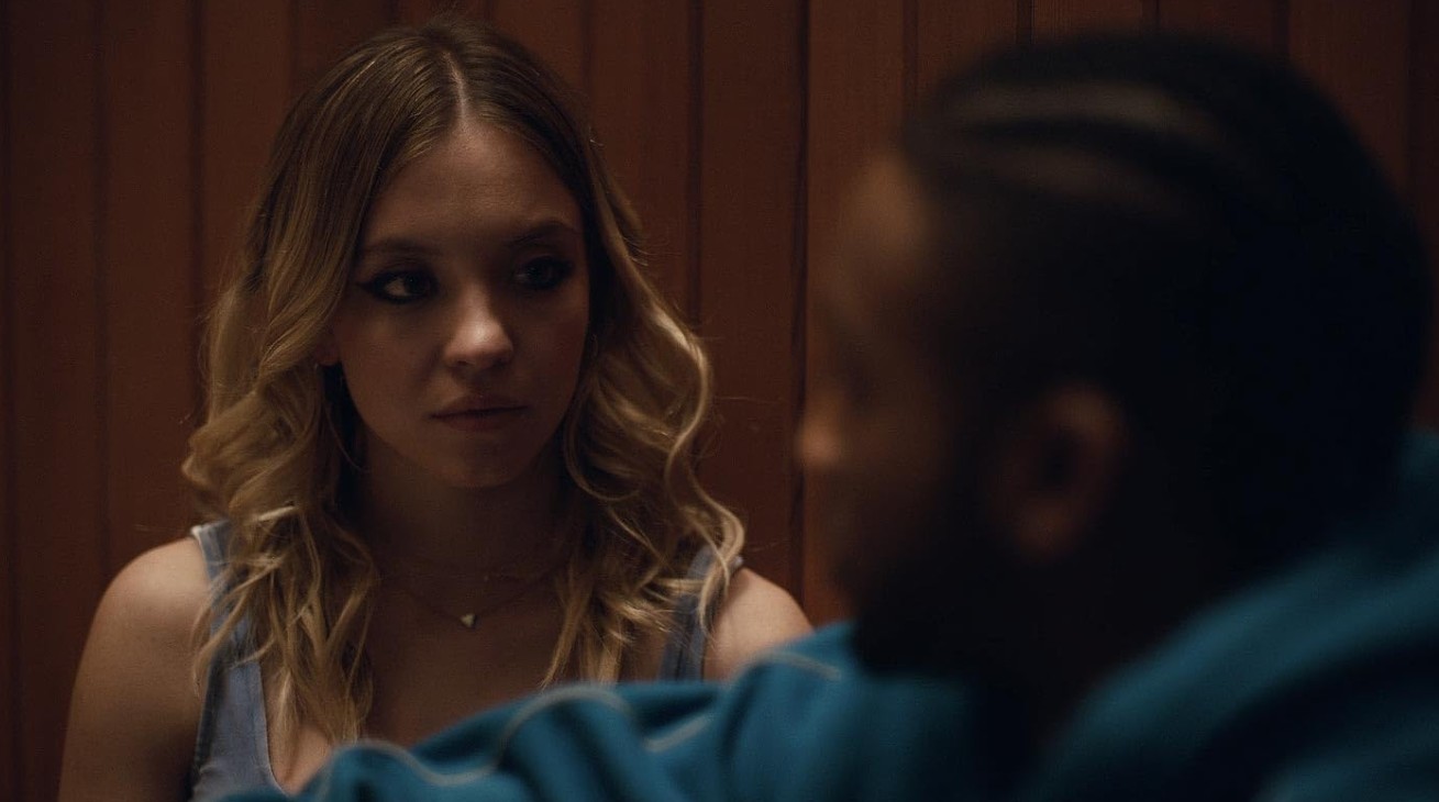 Euphoria Season 3: The Downfall Of Sydney Sweeney's Cassie Howard ...