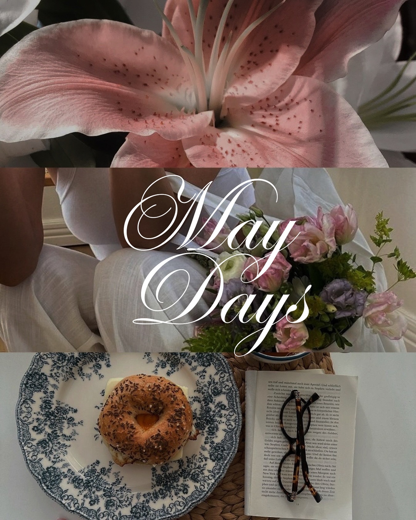 50+ May Dump 2026 Captions For Instagram To Post With Your Stories And ...