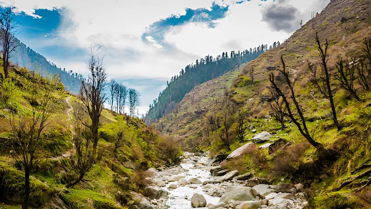 6 Hidden Valleys That Come Alive With Fireflies After Dark | Herzindagi
