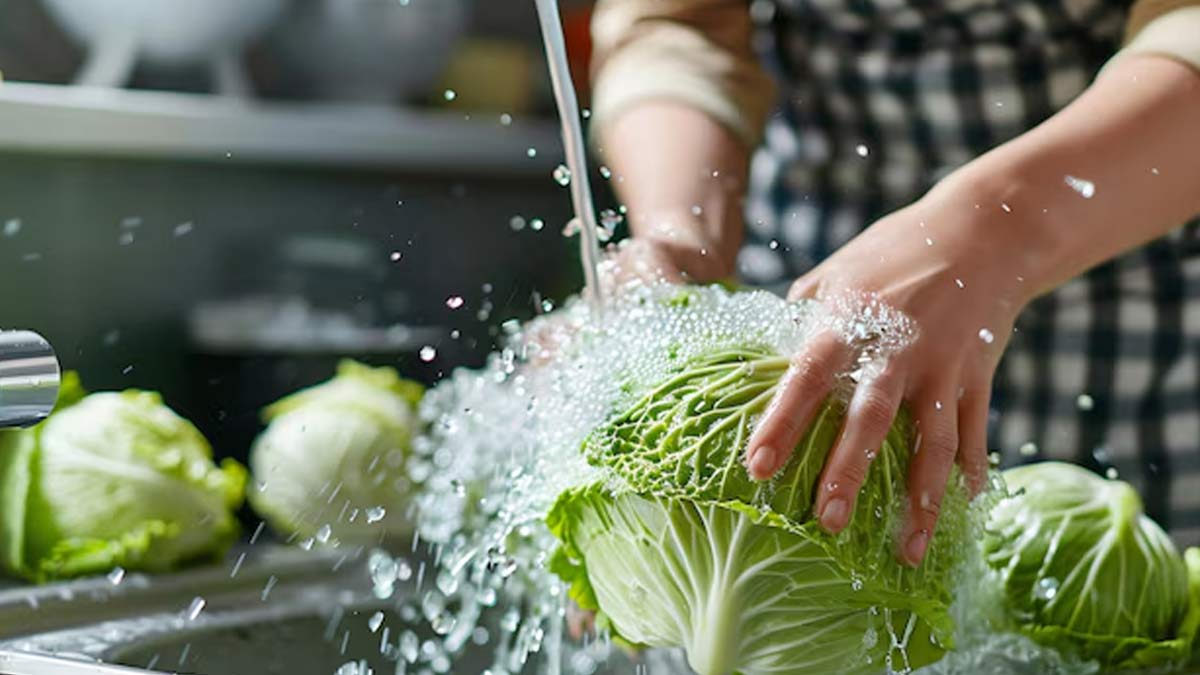 पत्ता गोभी के कीड़े निकालने और साफ करने के ये टिप्स आएंगे आपके काम ...