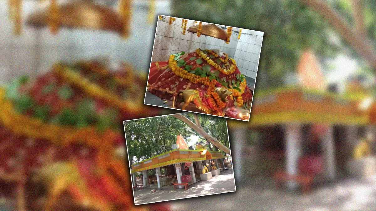 Van Devi Temple: बिहार के इस मंदिर में दर्शन मात्र से सभी मनोकामनाएं ...