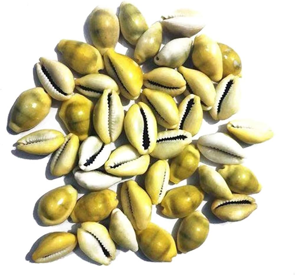 Diwali 2024: दिवाली की कौड़ी को किन स्थानों पर रखना माना जाता है शुभ? | where we should keep ...