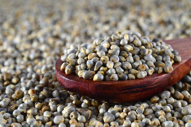 Bajra Upma Recipe: पूरे दिन नहीं होगा भूख का एहसास, ब्रेकफास्ट में खाएं ...