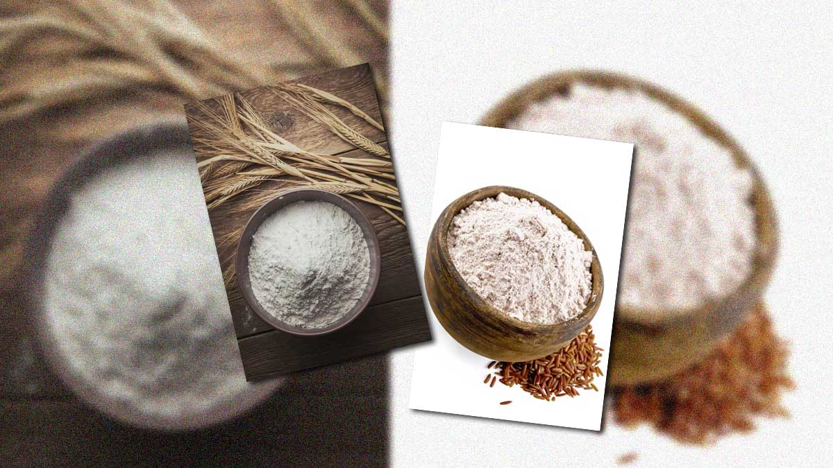बाजरा और रागी के आटे में कैसे अंतर करें? खुलने के कितने दिन तक कर सकते ...