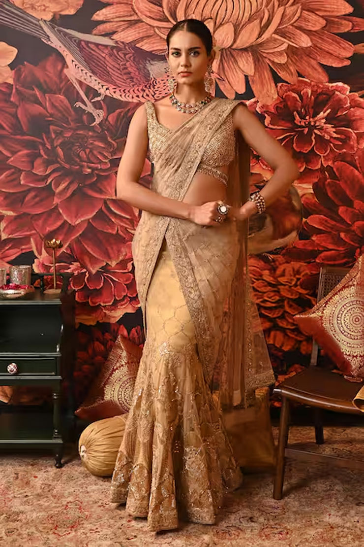 Fish Cut Saree: वेडिंग सीजन में स्टाइल करें ये फिश कट साड़ी, देखें सबसे ...