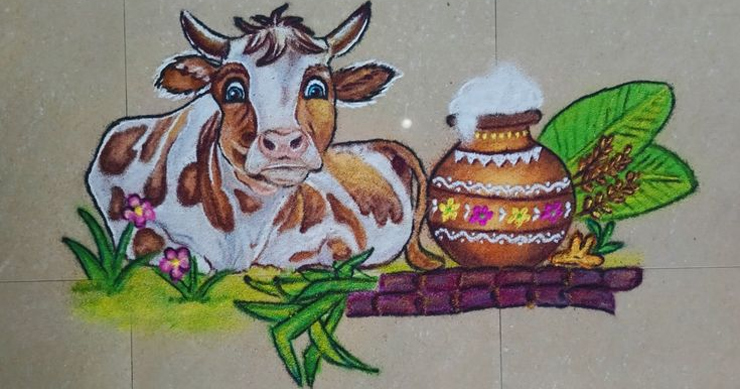 Pongal Rangoli Design: मट्टू पोंगल पर घर-आंगन में बनाएं ये स्पेशल ...