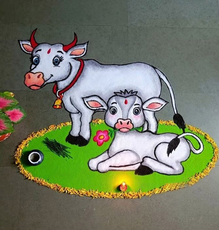 Pongal Rangoli Design: मट्टू पोंगल पर घर-आंगन में बनाएं ये स्पेशल ...