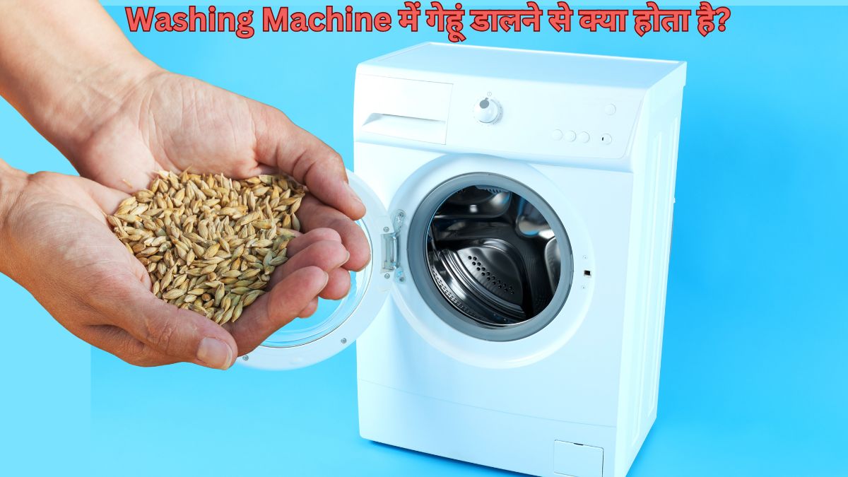 Washing Machine में गेहूं डालने से क्या होता है? जानें यह शानदार Viral ...