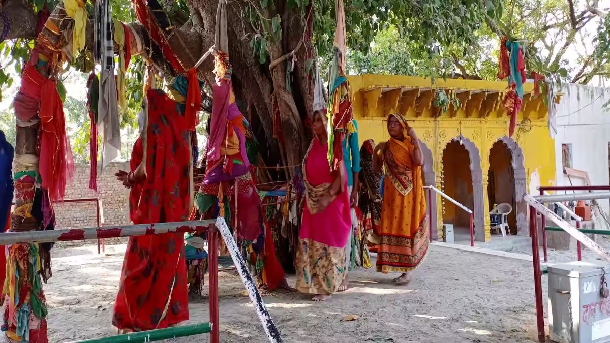 क्या है भांडीरवन का रहस्य, क्यों हर कोई नहीं पहुंच पाता यहां? | mystery ...