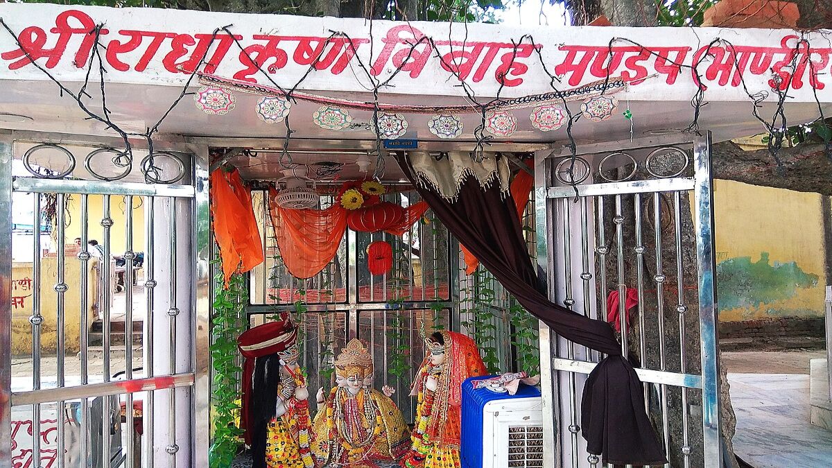 क्या है भांडीरवन का रहस्य, क्यों हर कोई नहीं पहुंच पाता यहां? | mystery ...