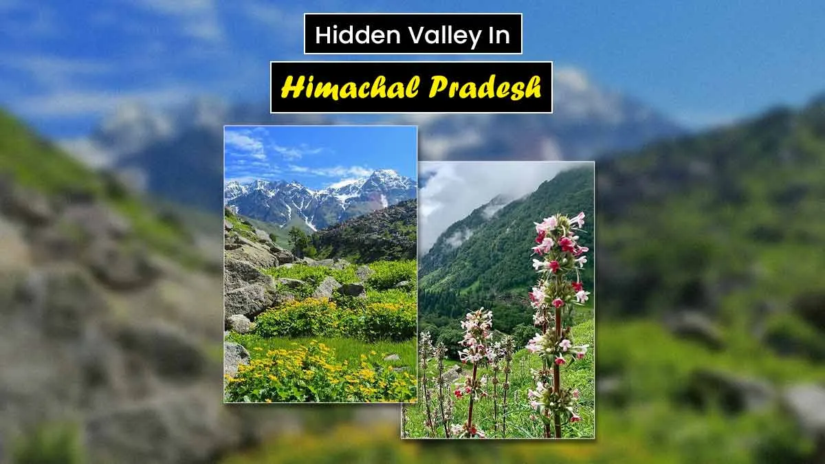 Himachal Pradesh Hidden Valley: हिमाचल प्रदेश की इस वैली का दीदार किया आपने? खूबसूरती देख खुशी ...