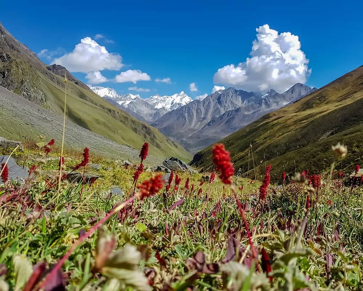 Himachal Pradesh Hidden Valley: हिमाचल प्रदेश की इस वैली का दीदार किया ...