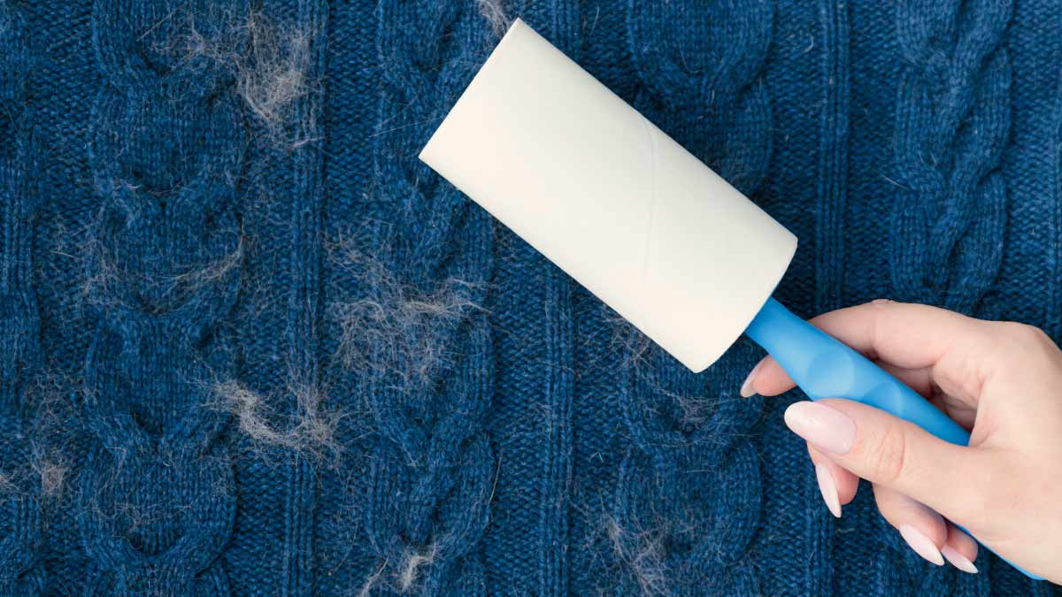 Lint Removing Hacks: सर्दी के कपड़े बेड में डालने से पहले इस 2 मिनट ...