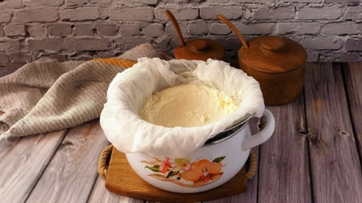 फ्रिज में रखने से दही में आने लगती है बदबू, तो इन टिप्स से करें स्टोर ...