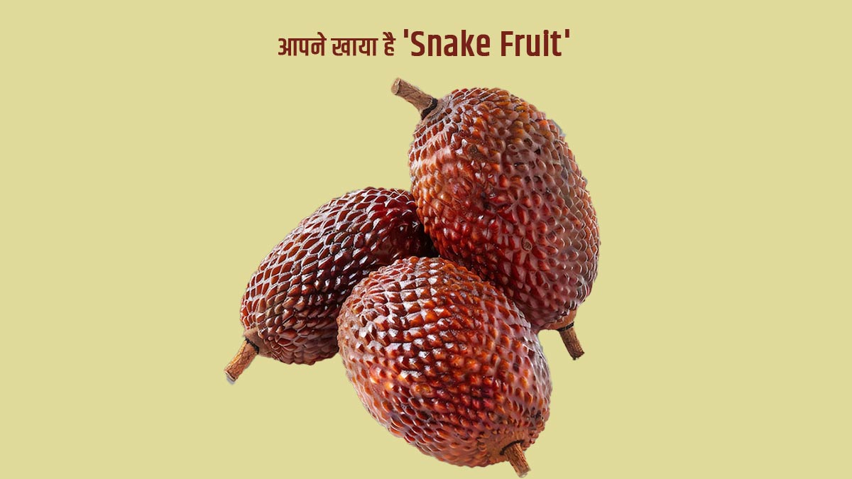 Snake Fruit: क्या आपने खाया है सांप जैसा दिखने वाला यह फल? जानें इससे बनने वाली टेस्टी डिशेज ...