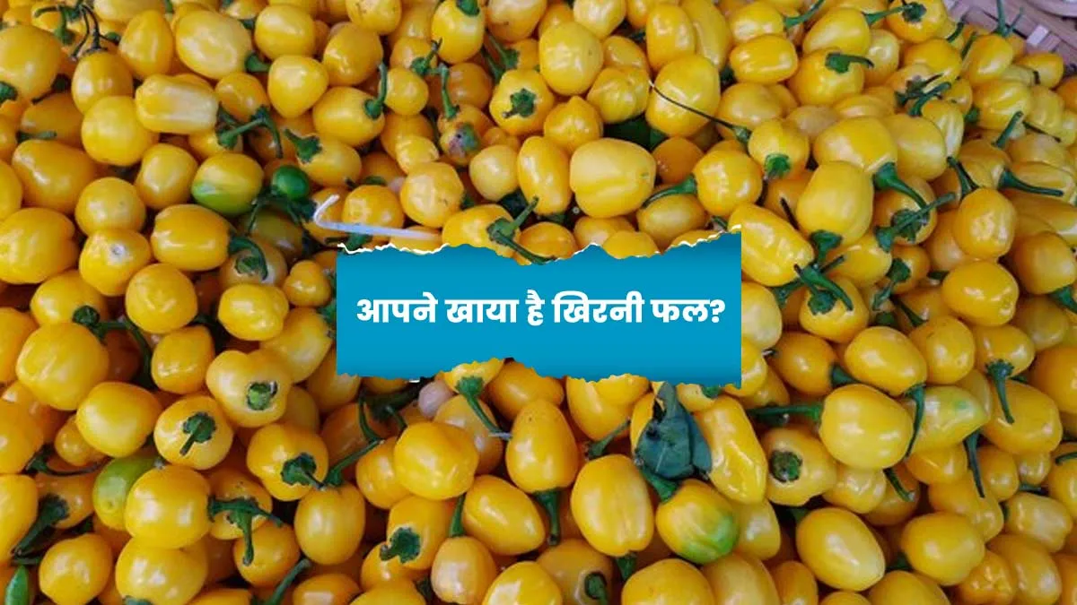 Lesser Known Fruit: क्या आपने खाया है गर्मियों में आने वाला खिरनी फल ...