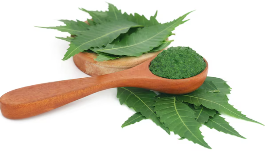 नीम का पानी त्वचा के लिए है वरदान, रोजाना नहाने से मिलते हैं ये 6 फायदे ...