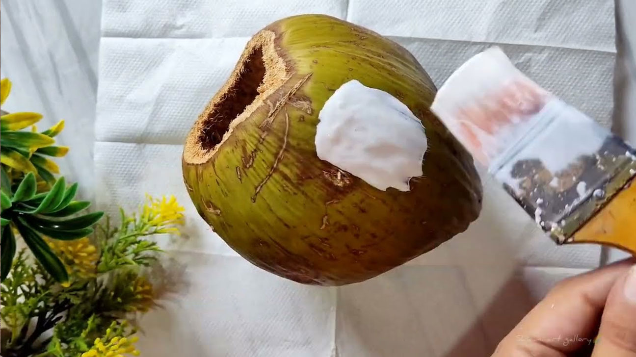 हरे नारियल खोल से बनाएं सजावट का सामान। हरे नारियल खोल का रियूज। Green ...