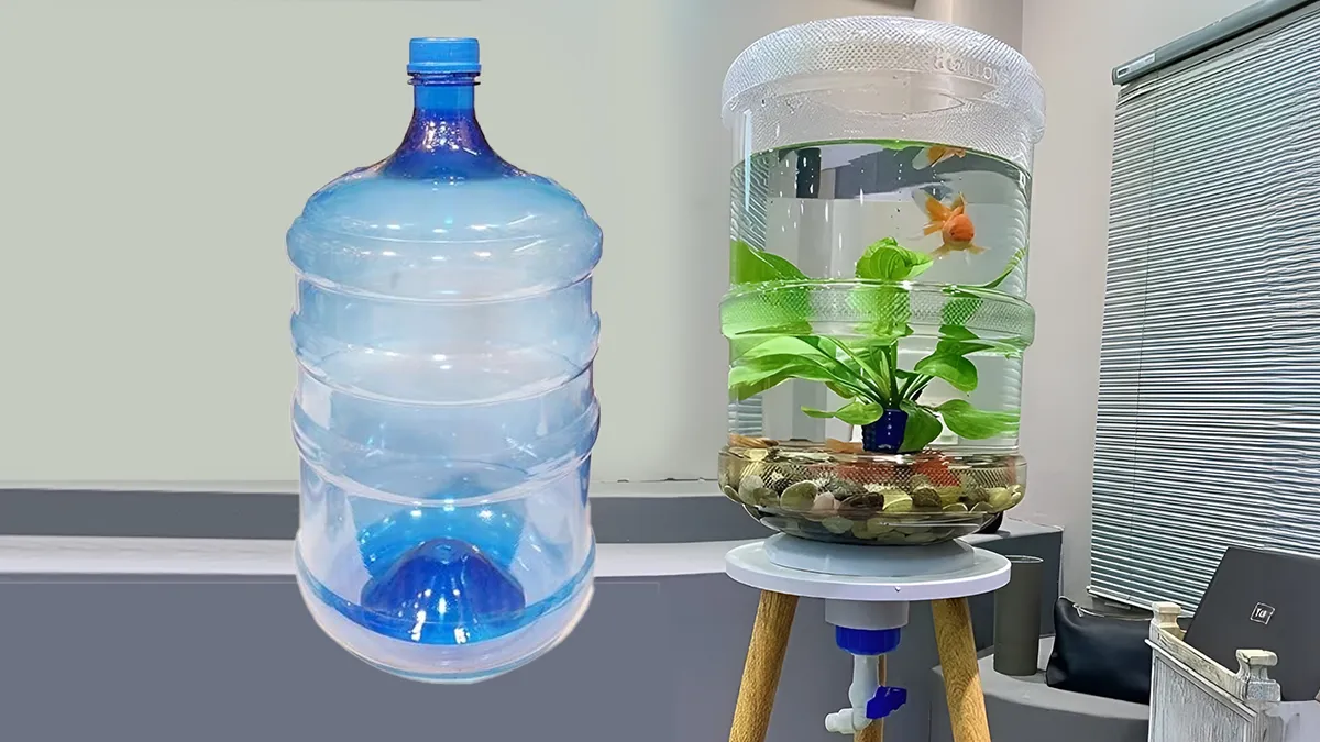 DIY Plastic Gallon Aquarium: 10 लीटर के प्लास्टिक गैलन से घर पर ऐसे ...