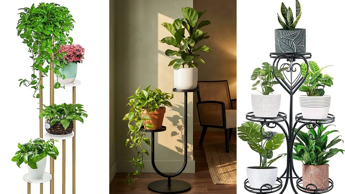Living Room में चार चांद लगाएंगे Steel Plant Stand के ये ट्रेंडी ...