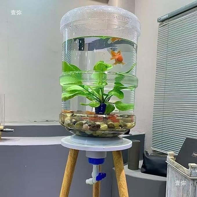 DIY Plastic Gallon Aquarium: 10 लीटर के प्लास्टिक गैलन से घर पर ऐसे ...