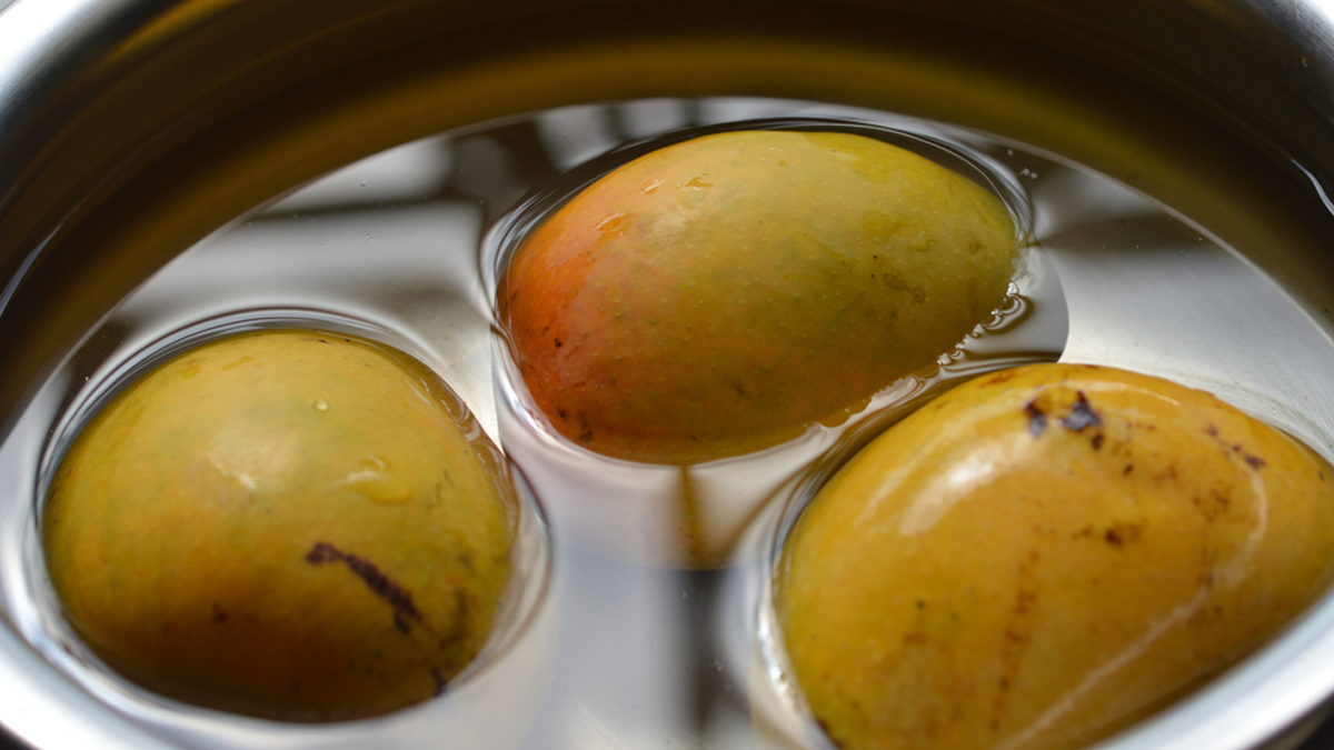 Mango Lovers ध्यान दें, ऐसे खाएंगे आम तो नहीं होंगे पिंपल्स और एसिडिटी ...