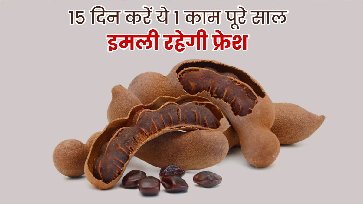 सिर्फ 15 दिन करें ये 1 काम, पूरे साल बिना काली पड़े इमली रहेगी बिल्कुल ...