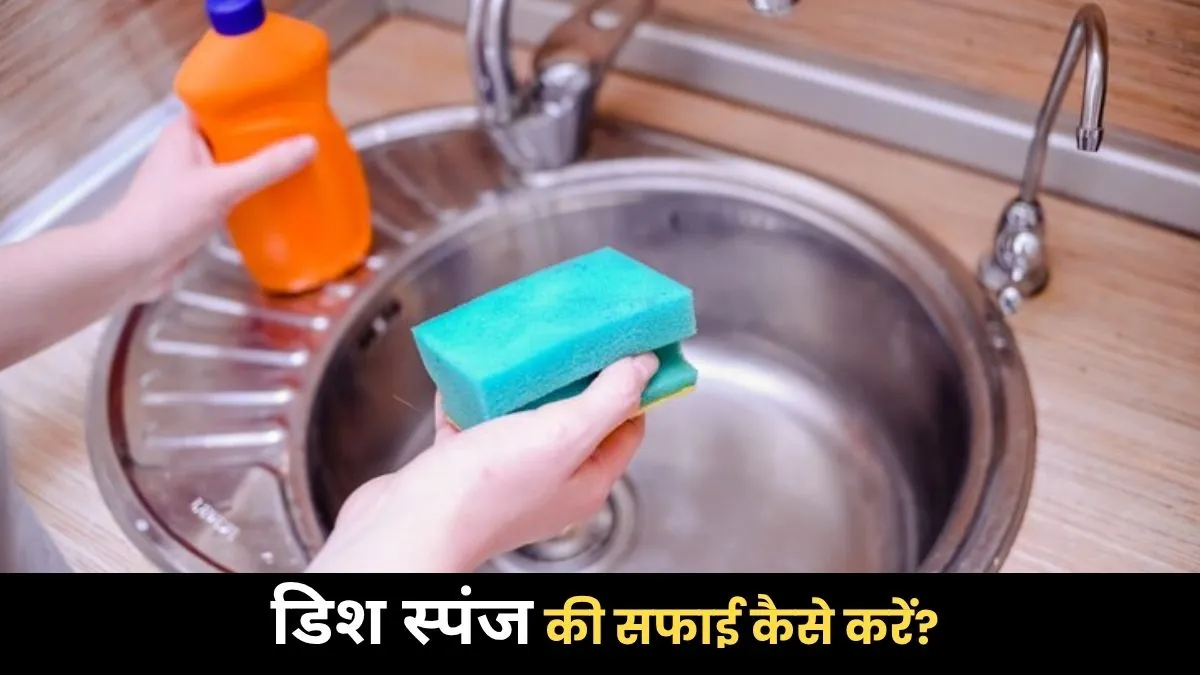Dish Sponge Cleaning Tips: बर्तन धोने वाला स्पंज बना सकता है आपको बीमार ...
