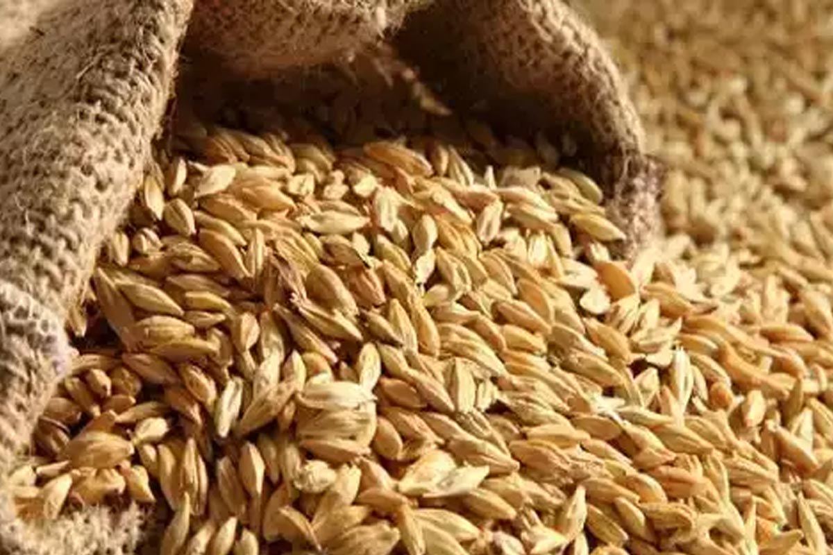 गर्मियों में UTI को दूर करने के लिए मैंने पिया इस अनाज का पानी , क्या ...