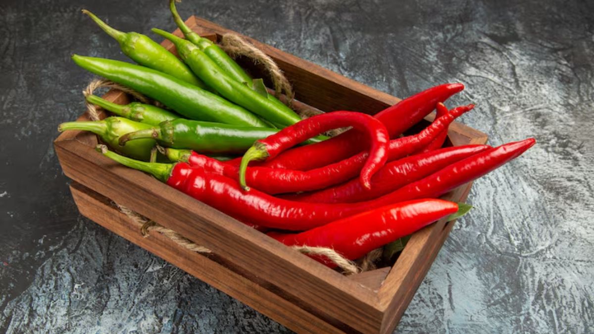 Homemade Red Chilli Powder: हरी मिर्ची से घर पर ऐसे बनाएं लाल मिर्च ...