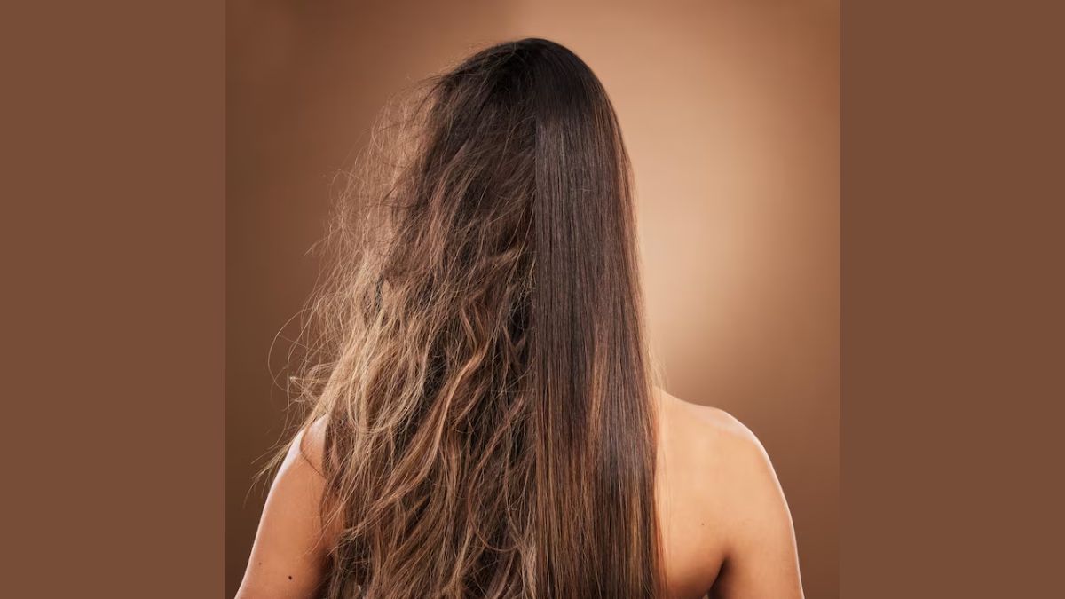 Damaged Hair के ल‍िए घर पर बनाएं हेयर मास्‍क, जानें इस्‍तेमाल का तरीका ...