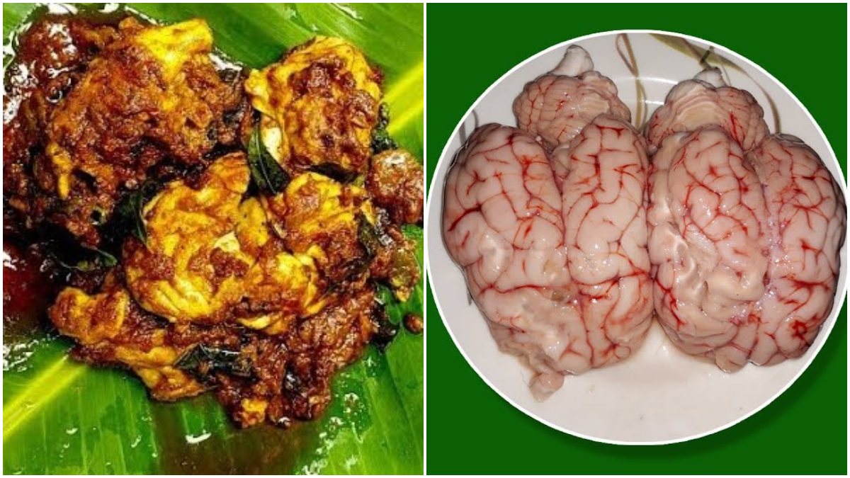 Mutton Brain Roast: வீட்டிலேயே மதுரை ஸ்டைலில் மட்டன் மூளை வறுவல் ...