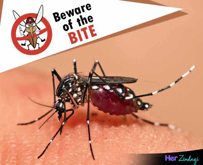 Every Year The Danger of Dengue is Elevating, How Prepared Are You in ...